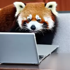 meta_a1のマイページ | AIピクターズ